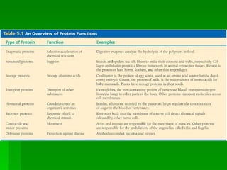 Protein Structure & Function | PPT