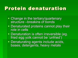 Protein Structure & Function | PPT