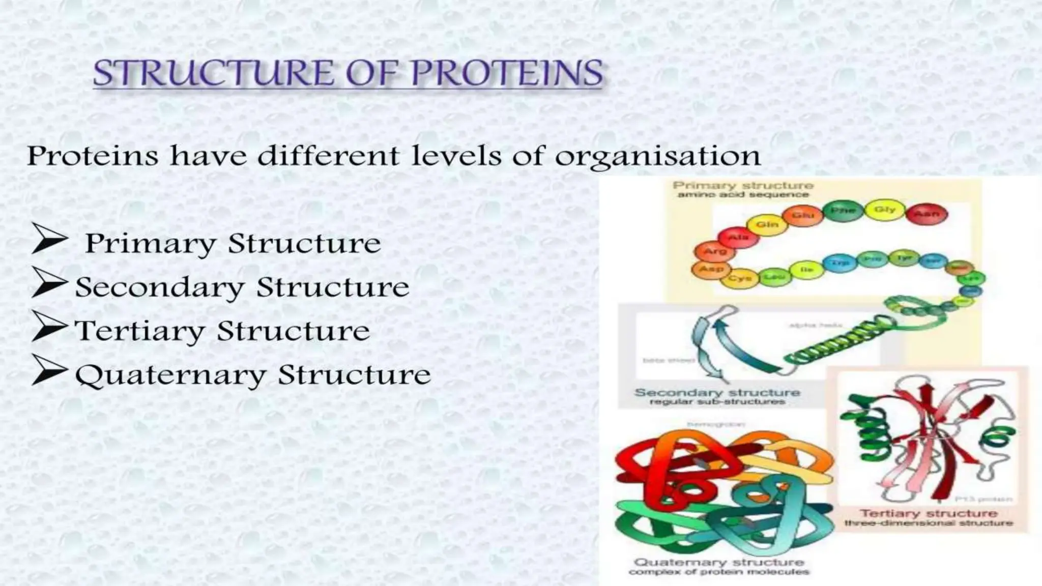 Protein Structure Protein Structure Validation Ppt Pptx
