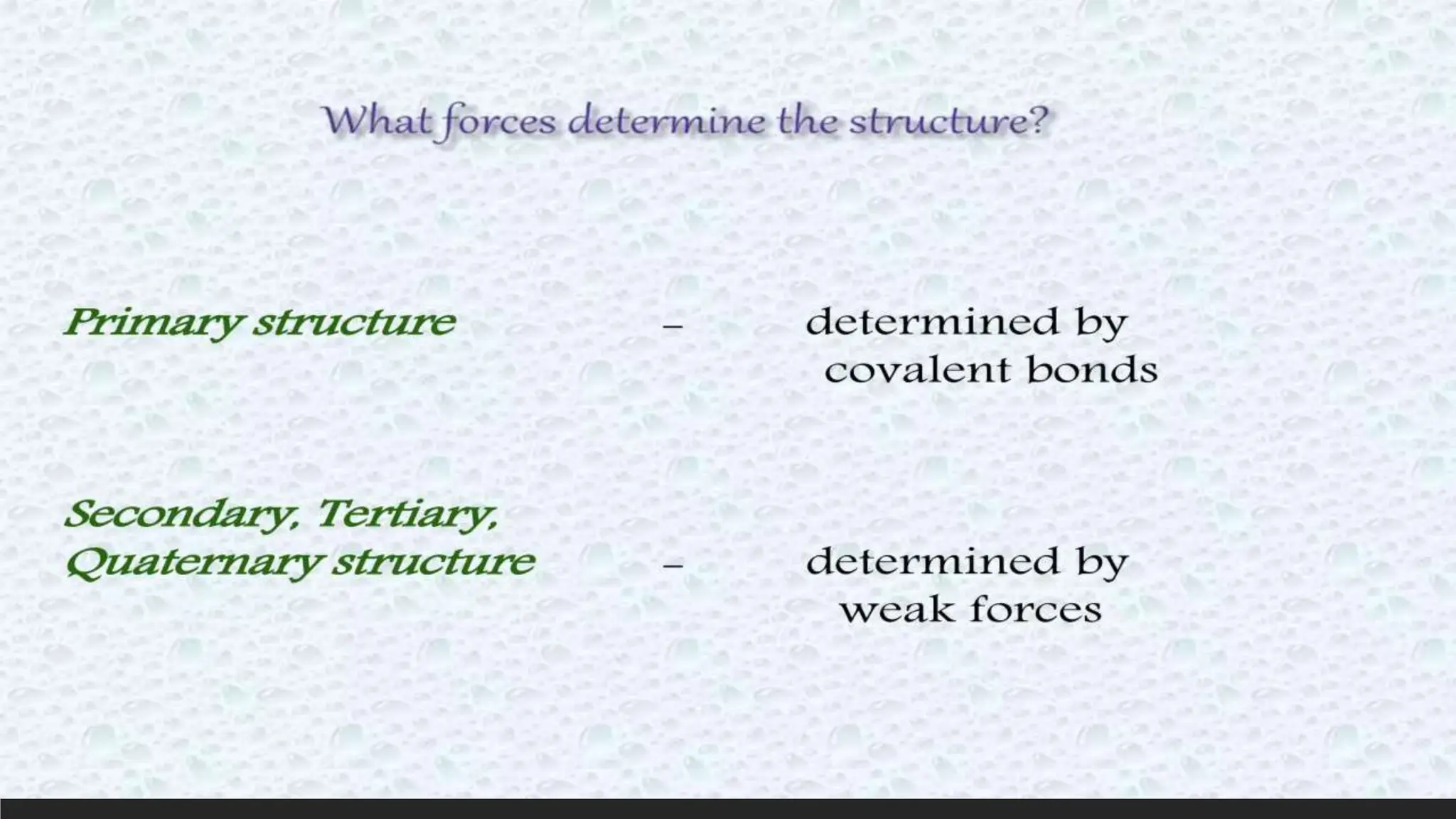 Protein structure & protein structure validation ppt | PPTX