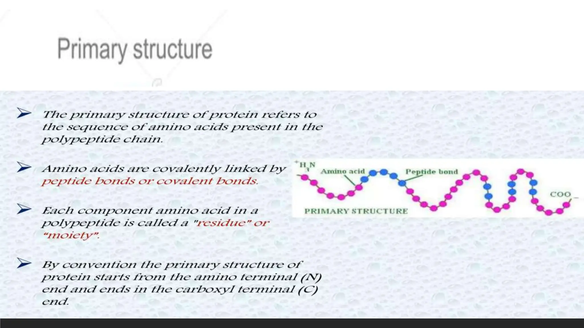 Protein structure & protein structure validation ppt | PPTX