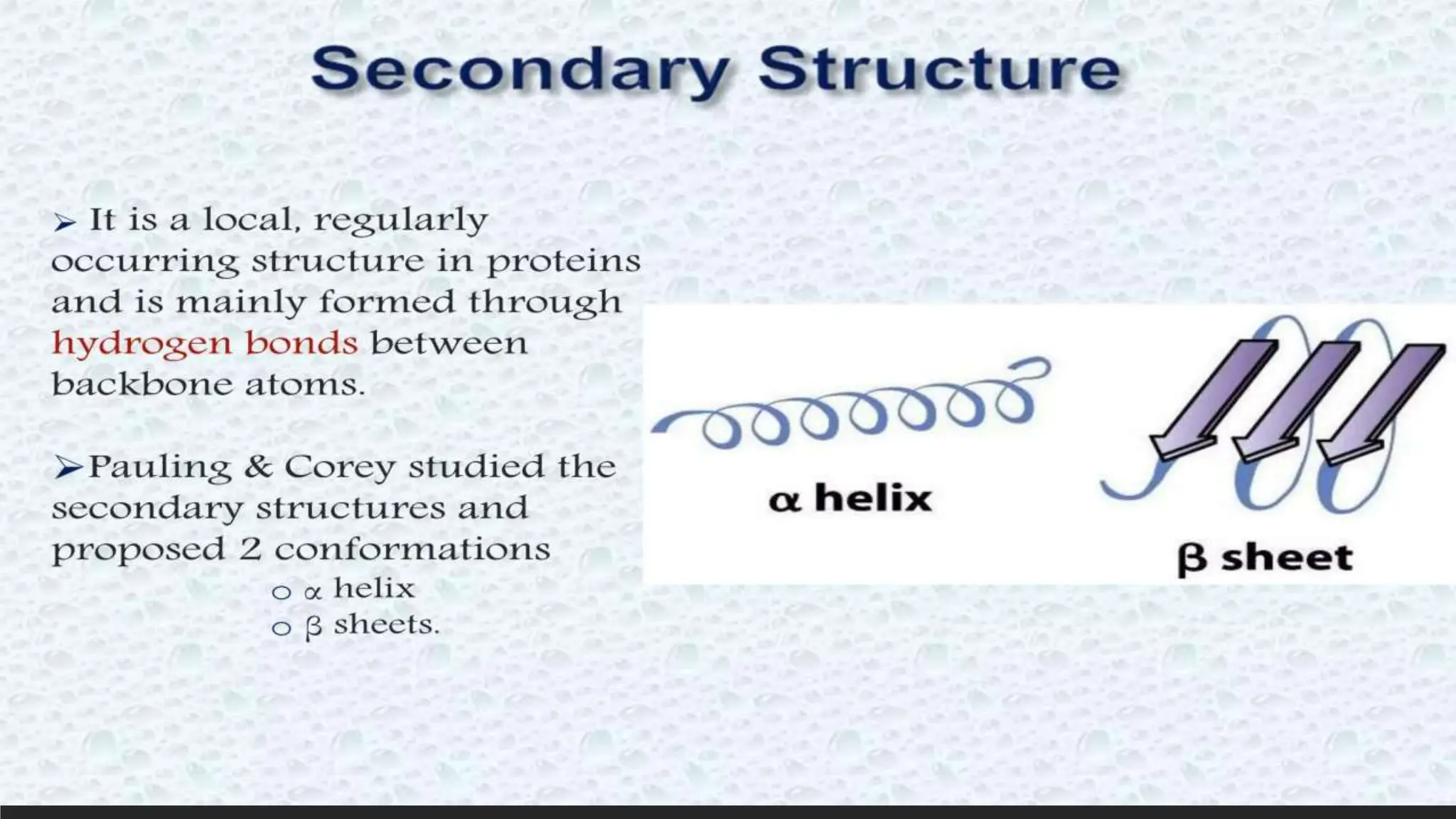 Protein structure & protein structure validation ppt | PPTX