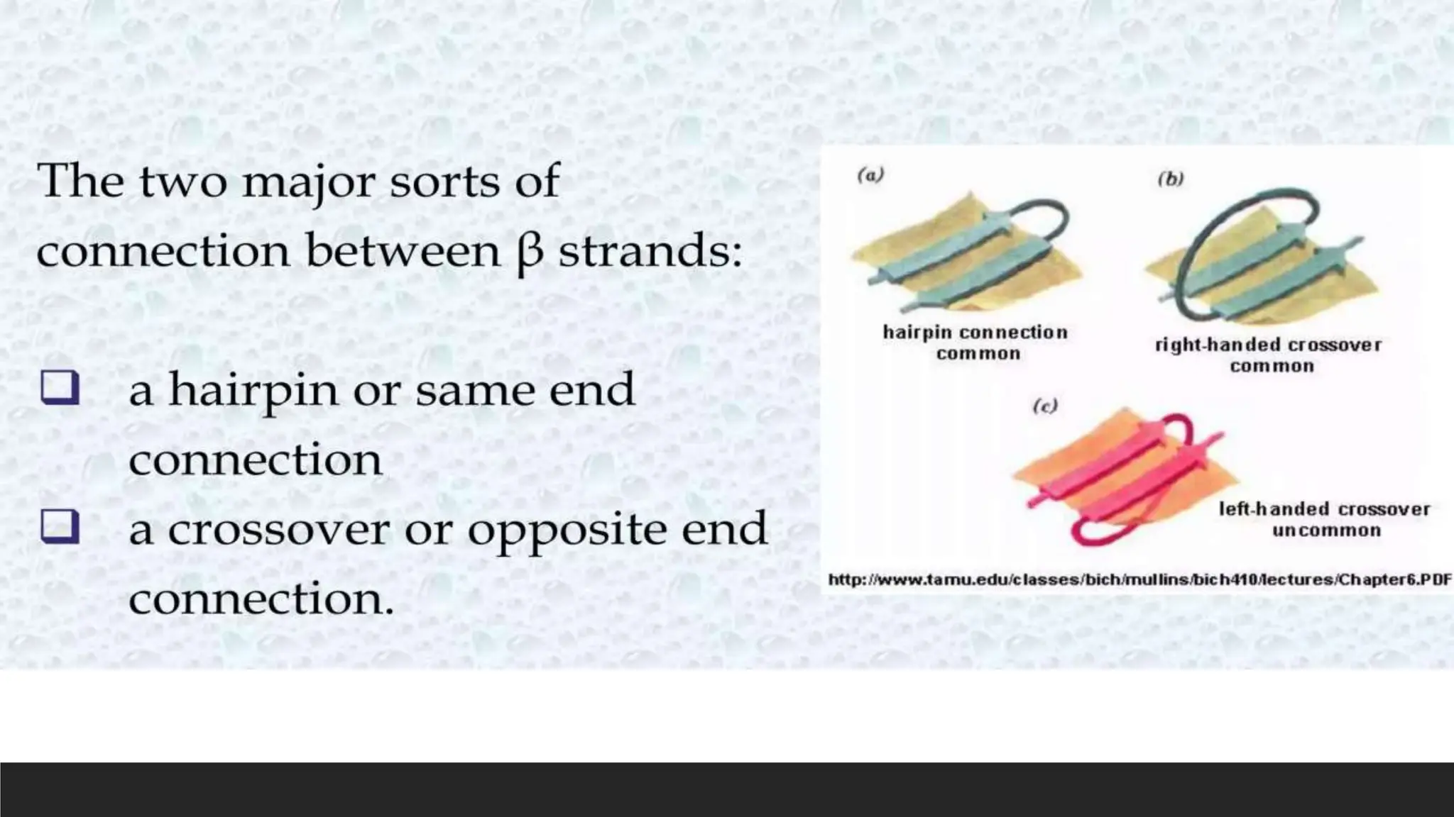 Protein structure & protein structure validation ppt | PPTX