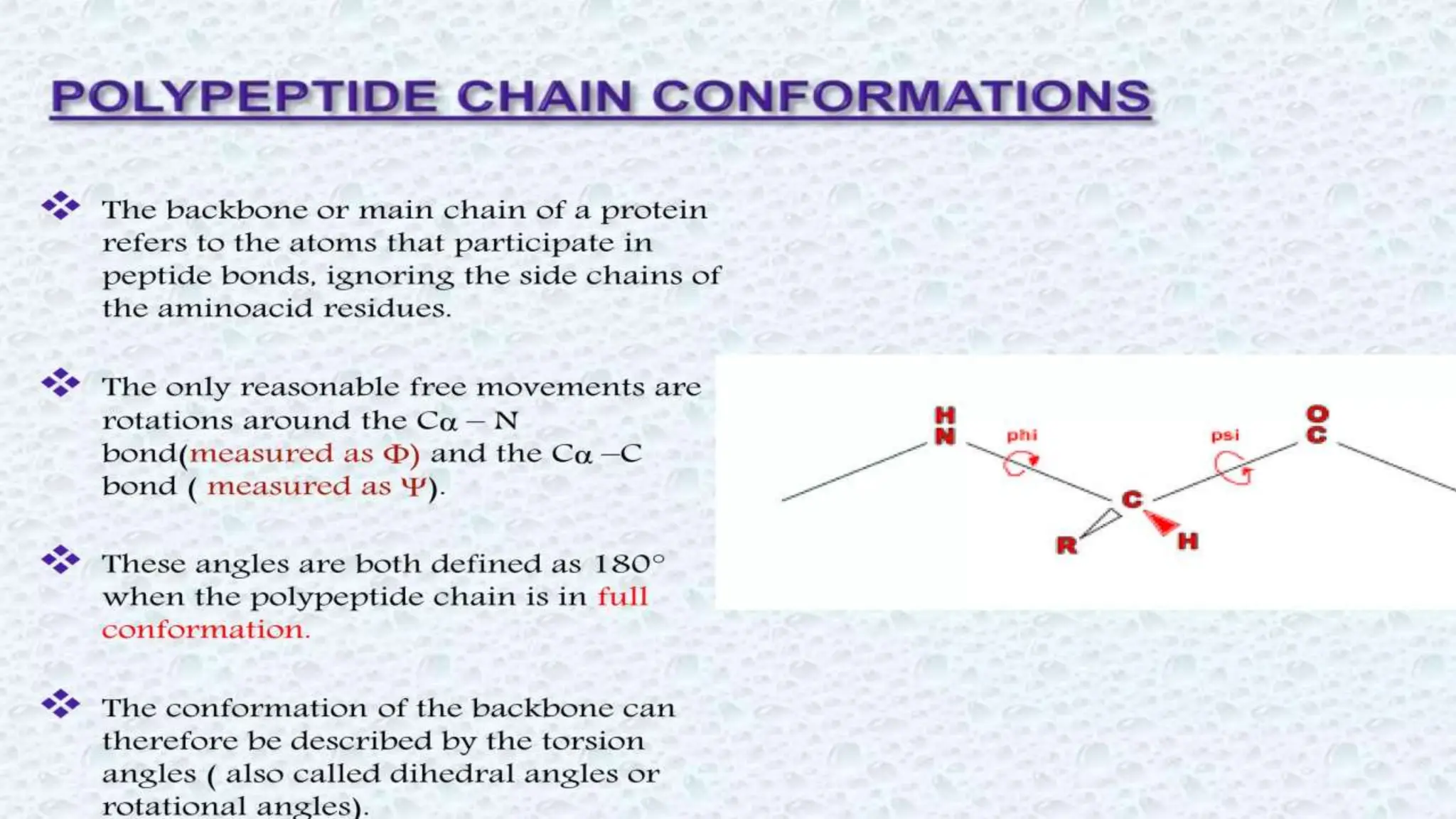 Protein structure & protein structure validation ppt | PPTX