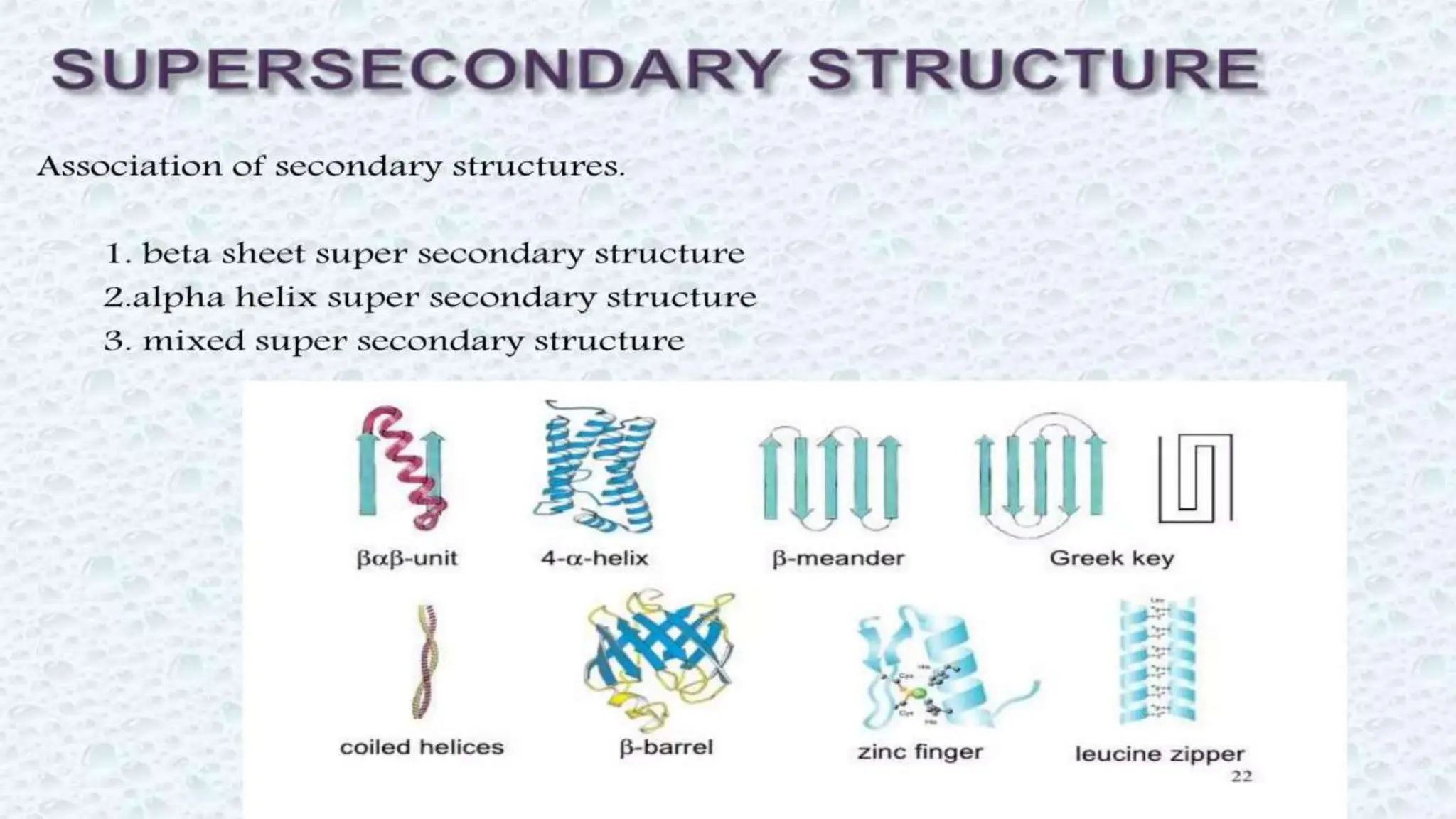 Protein structure & protein structure validation ppt | PPTX