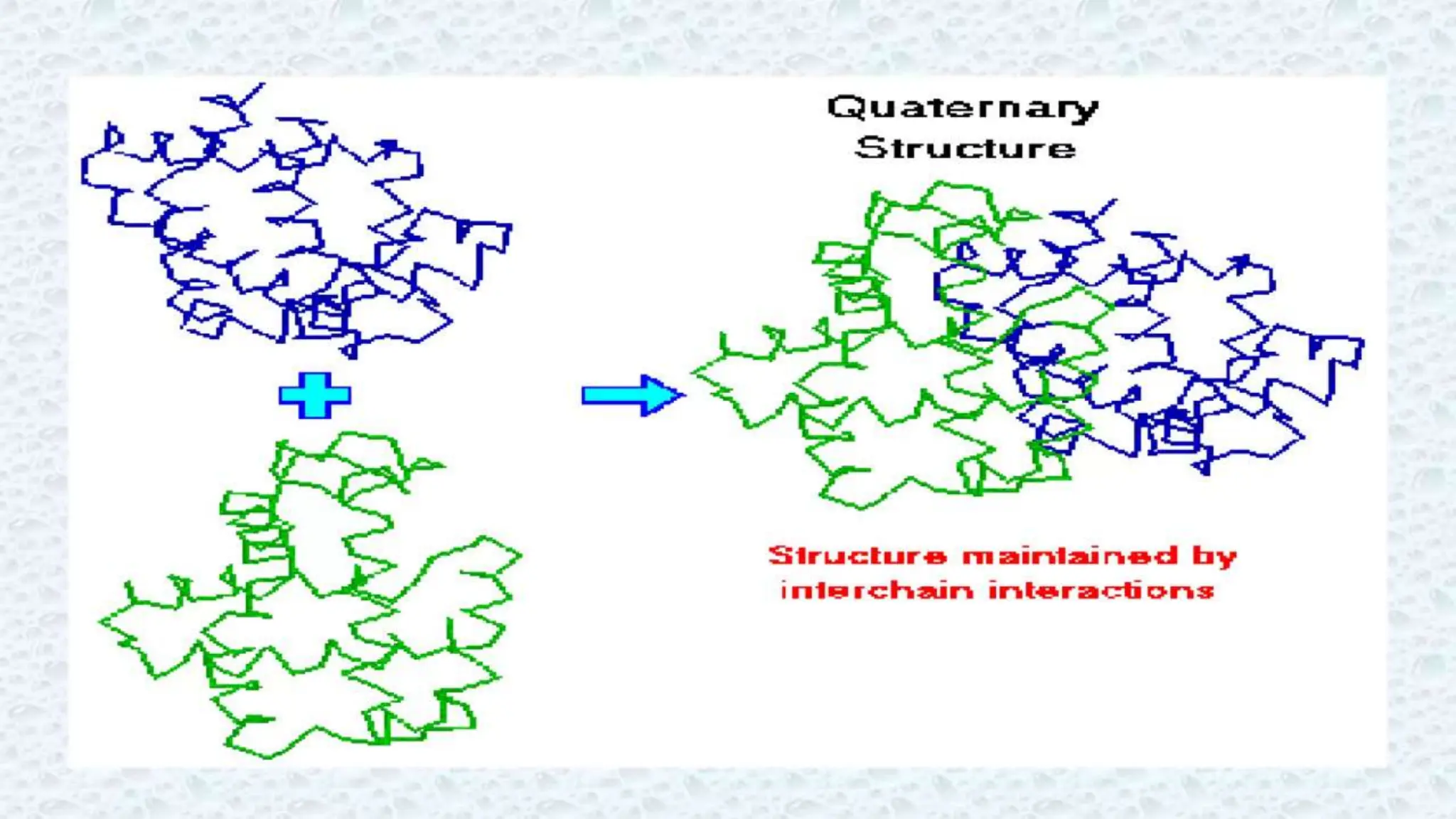 Protein structure & protein structure validation ppt | PPTX