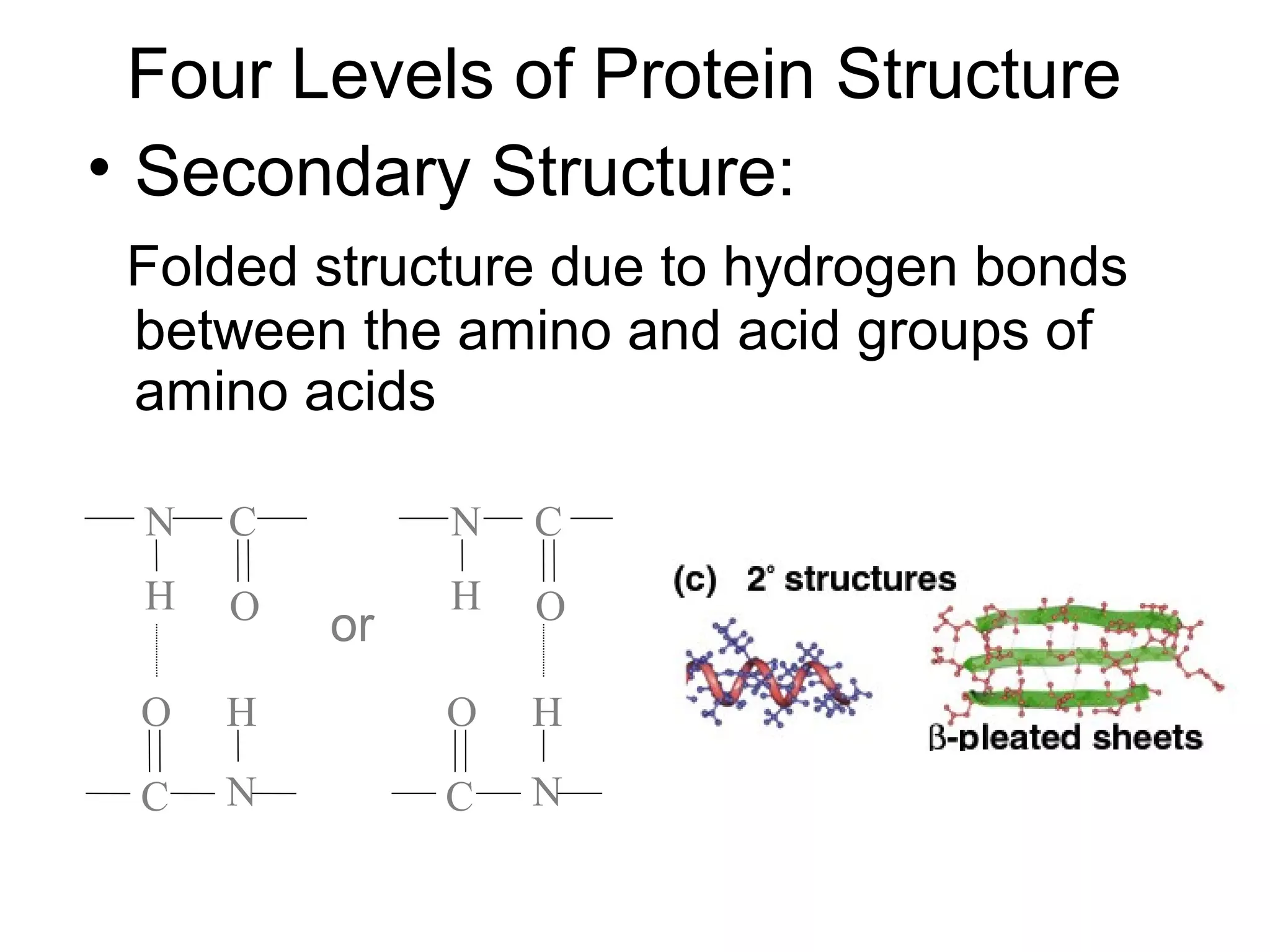 Protein structure levels | PPT