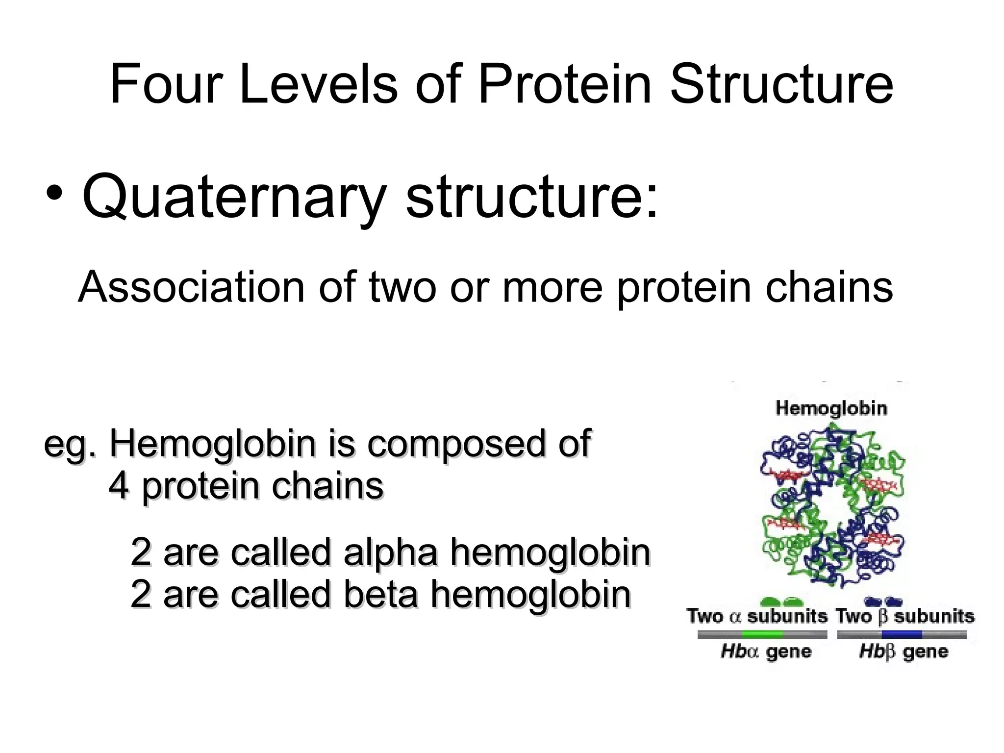 Protein structure levels | PPT