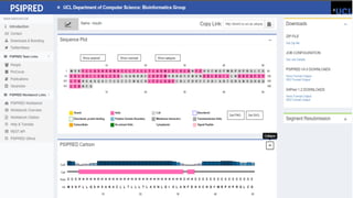 Protein structure prediction primary structure analysis.pptx ...