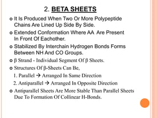 Protein Structures | PPTX | Chemistry | Science