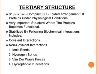 Protein Structures | PPTX | Chemistry | Science