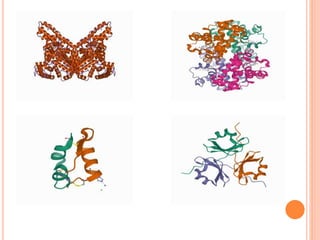Protein Structures | PPTX | Chemistry | Science