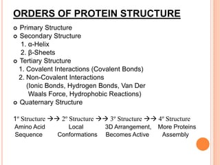 Protein Structures | PPTX | Chemistry | Science