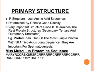 Protein Structures | PPTX