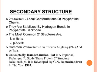 Protein Structures | PPTX | Chemistry | Science