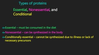 Protein structure and shape, Denaturation and Enzymes | PPT