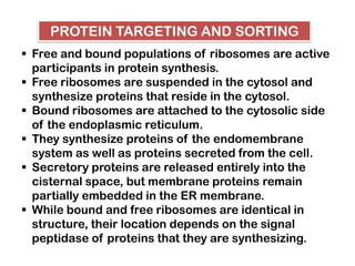 Protein structure, targeting and sorting | PPTX