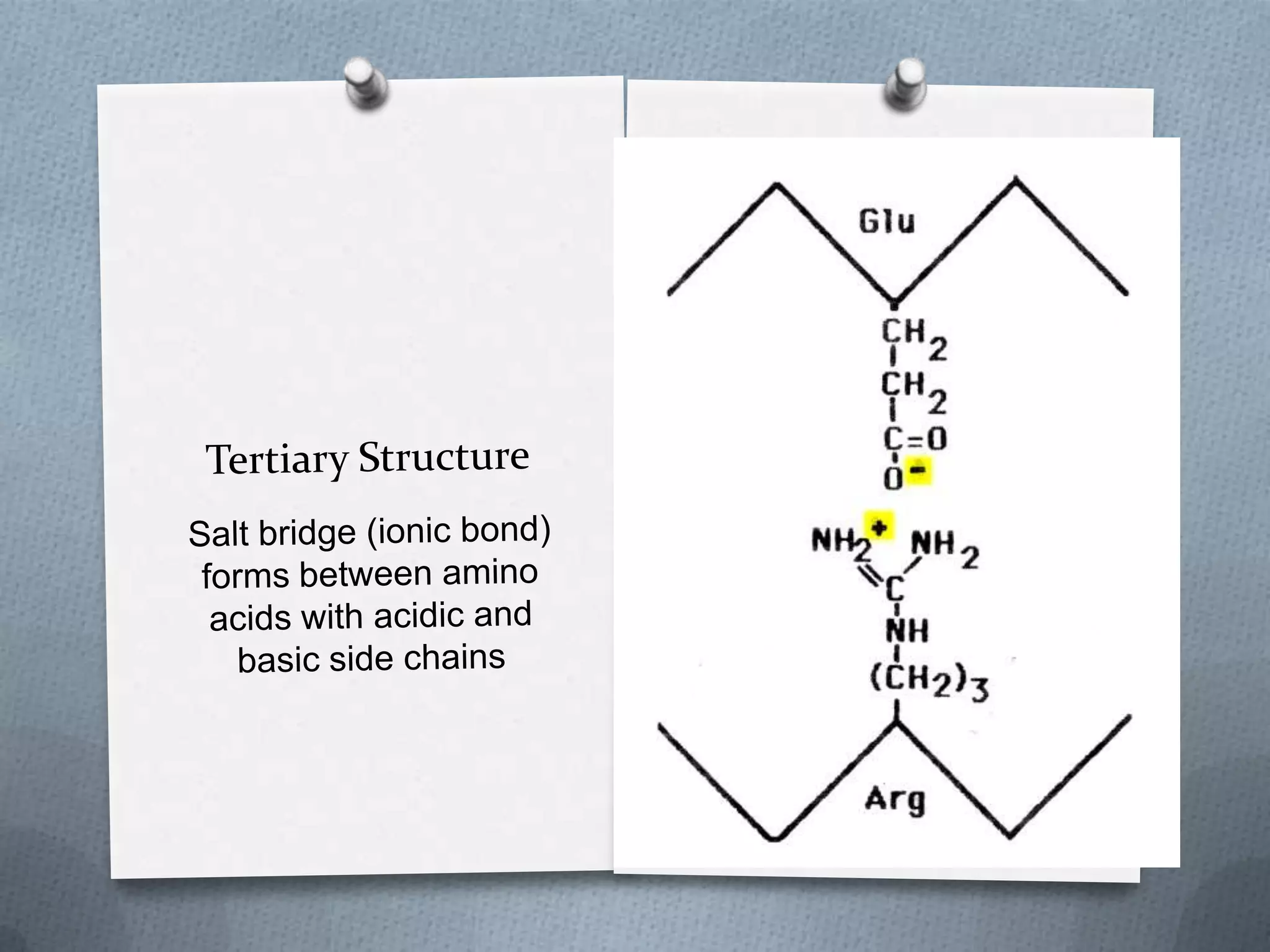 Protein Structuretertiary Pptx