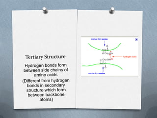 Protein structuretertiary | PPTX