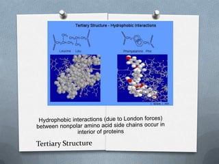 Protein structuretertiary | PPTX
