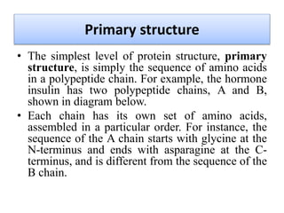 Protein strucutre prediction | PPT