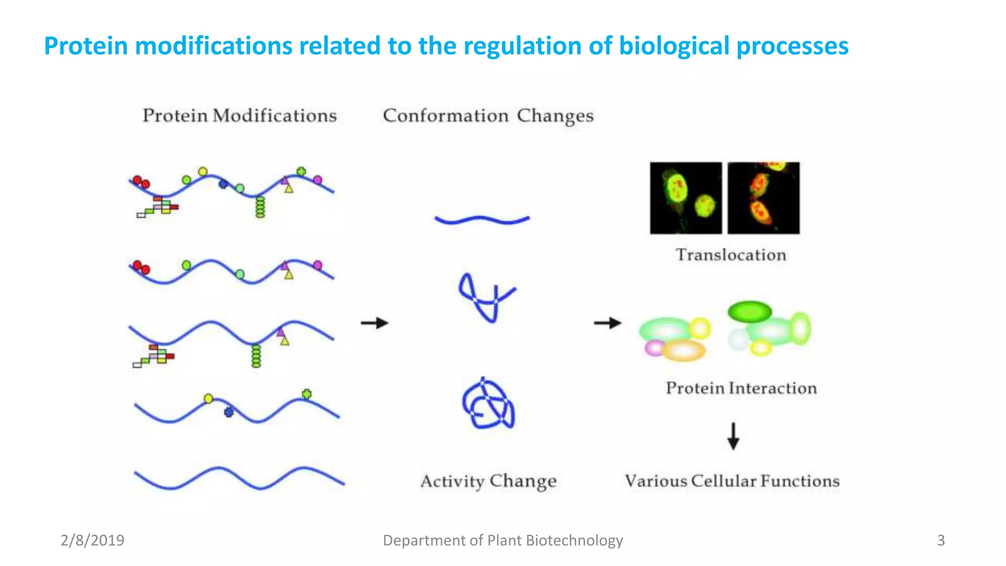 Protein Structure, Post Translational Modifications and Protein Folding | PPTX