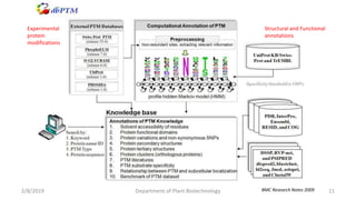 Protein Structure, Post Translational Modifications and Protein Folding | PPTX