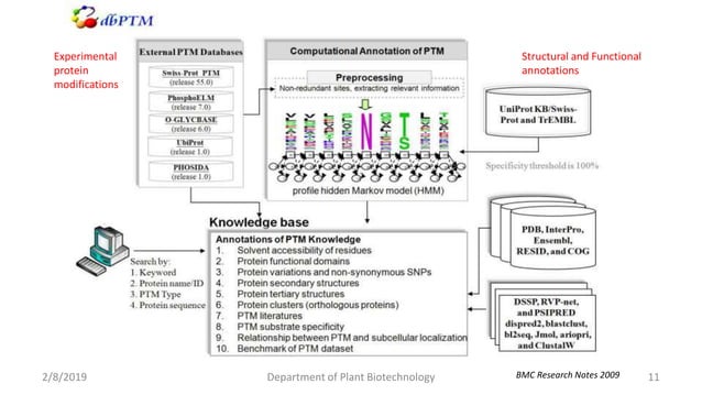 Protein Structure, Post Translational Modifications and Protein Folding ...