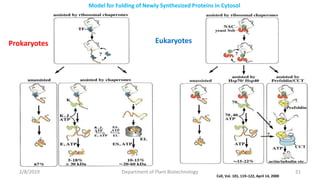 Protein Structure, Post Translational Modifications and Protein Folding ...
