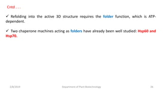Protein Structure, Post Translational Modifications and Protein Folding ...