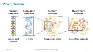 Protein Structure, Post Translational Modifications and Protein Folding ...