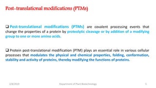 Protein Structure, Post Translational Modifications and Protein Folding | PPTX