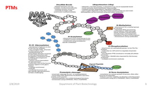 Protein Structure, Post Translational Modifications and Protein Folding | PPTX