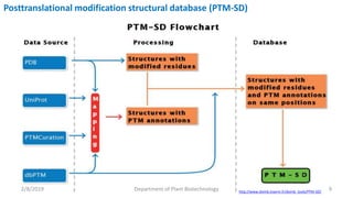 Protein Structure, Post Translational Modifications and Protein Folding ...