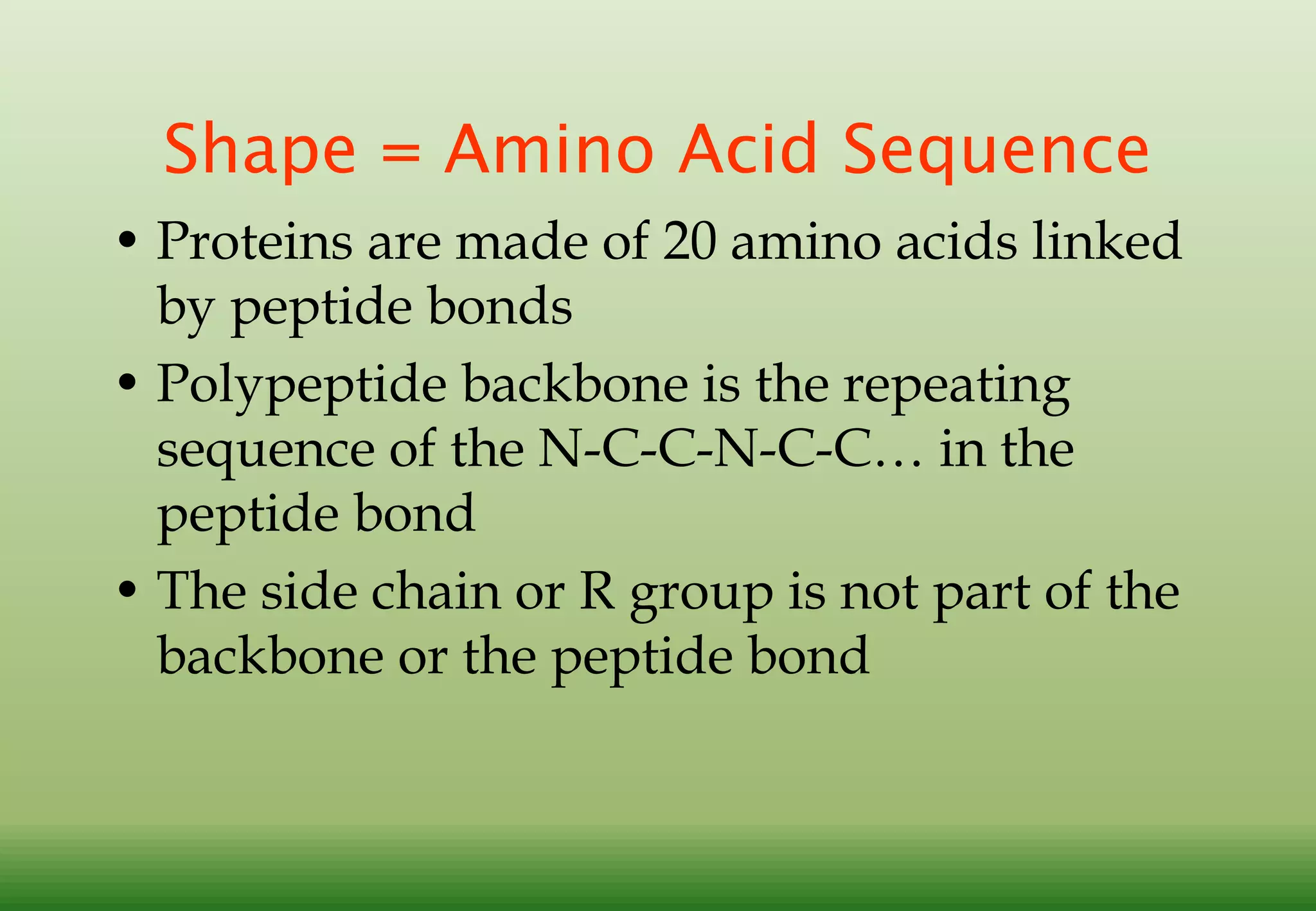 Protein structure | PDF