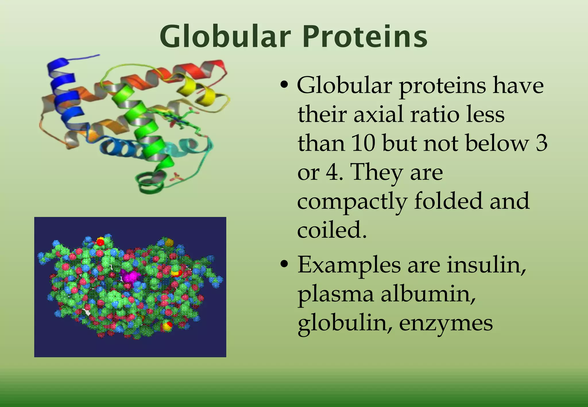 Protein sturucture | PPT