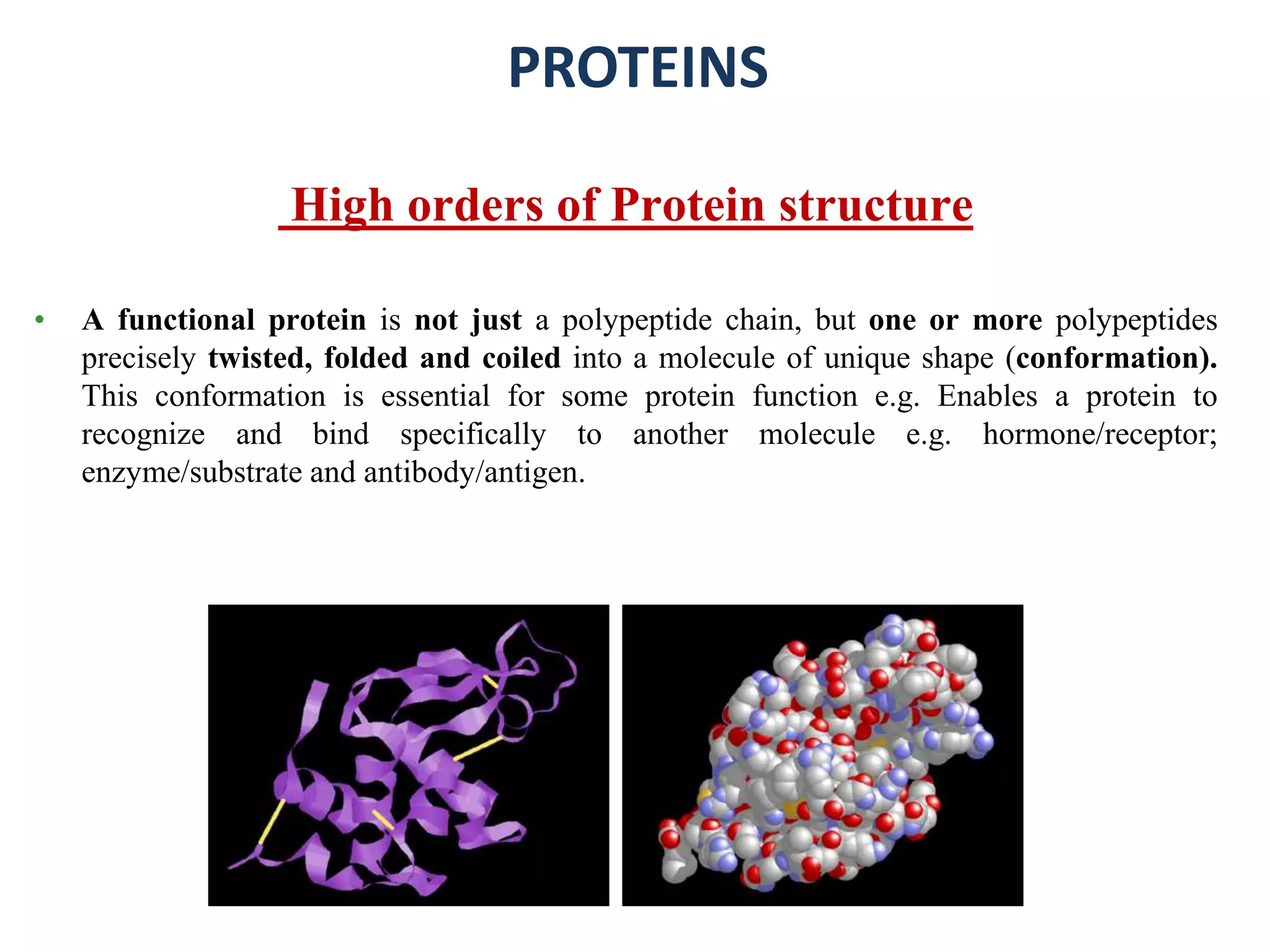PROTEINS unit3 biochemistry and clinical pathology, D.Pharm 2nd year.pptx