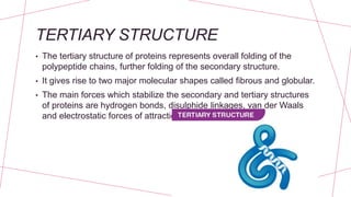proteins with its detailed structures.pptx