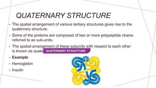 proteins with its detailed structures.pptx