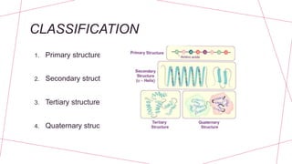 proteins with its detailed structures.pptx