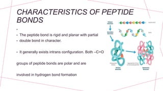 proteins with its detailed structures.pptx