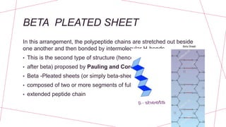 proteins with its detailed structures.pptx
