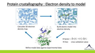 MDC Connects: Proteins, structures and how to get them | PPTX ...