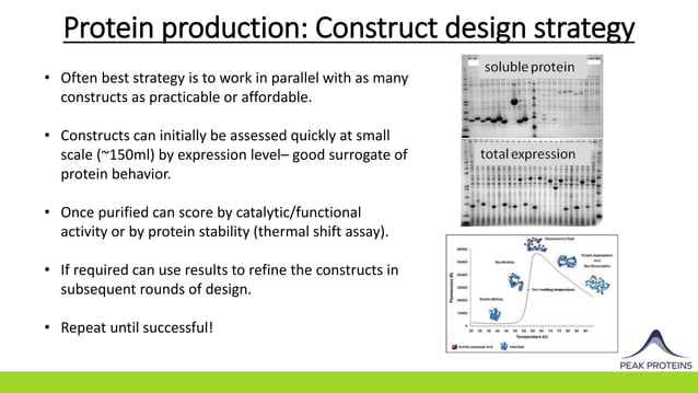 MDC Connects: Proteins, structures and how to get them | PPT