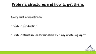 MDC Connects: Proteins, structures and how to get them | PPTX ...