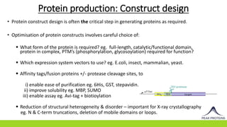 MDC Connects: Proteins, structures and how to get them | PPTX ...