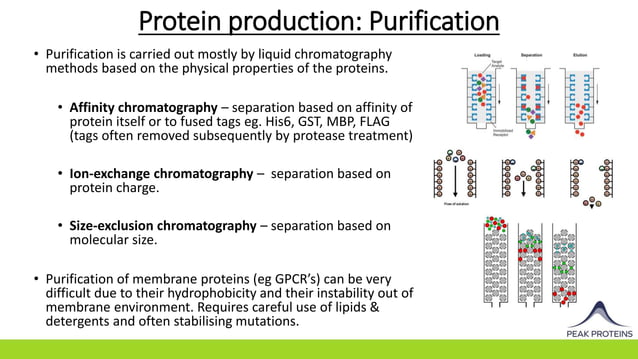 MDC Connects: Proteins, structures and how to get them | PPT