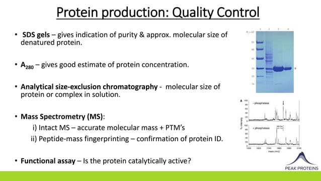 MDC Connects: Proteins, structures and how to get them | PPT