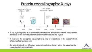 MDC Connects: Proteins, structures and how to get them | PPTX ...