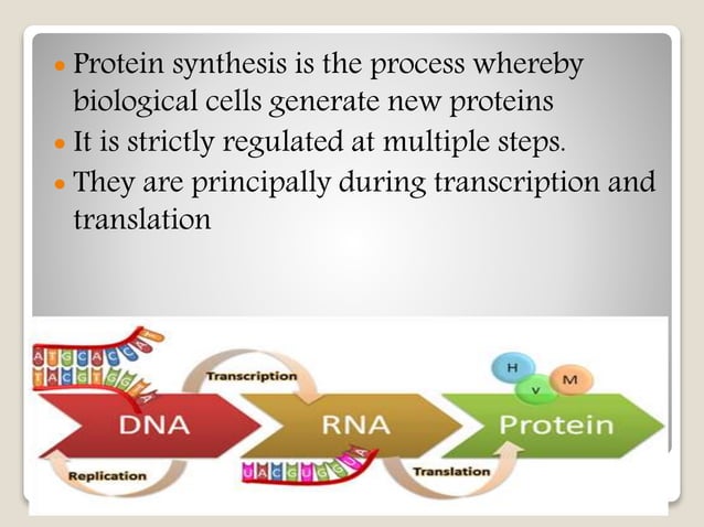 Protein synthesis | PPTX